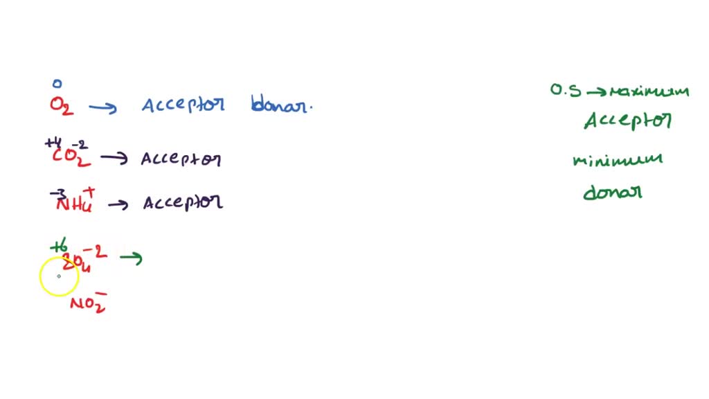 SOLVED: From the following list, identify which compounds act as ...