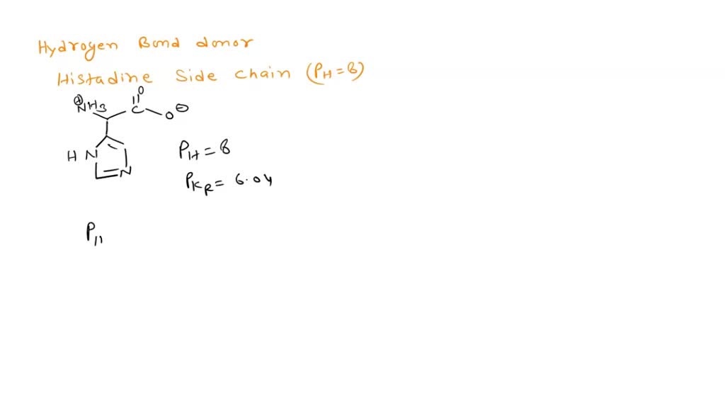 SOLVED: Question 5 2 pts How many hydrogen bond donors on the histidine ...