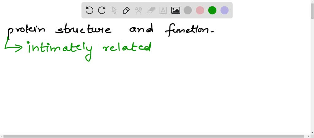SOLVED: Explain the general relationship between protein structure and ...