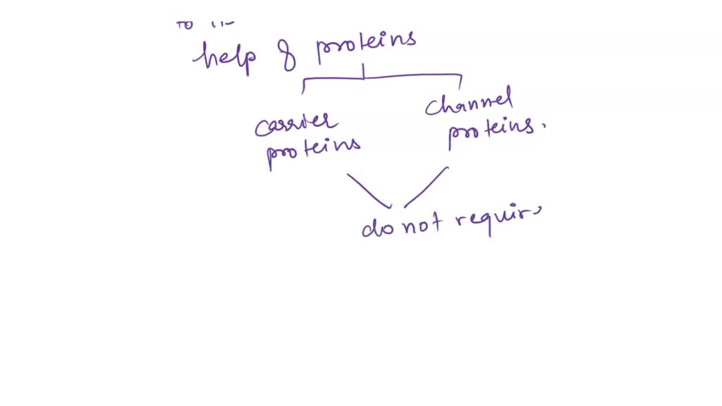 SOLVED: Which of the following is an example of facilitated diffusion ...