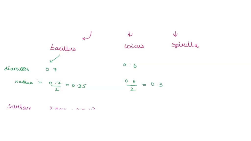 SOLVED: Cell Morphology Surface Area Volume Coccus (S. aureus, d=1 um ...