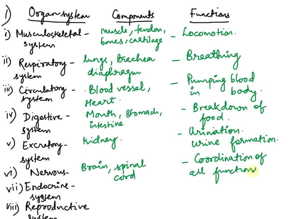 SOLVED: Identify anatomical characteristics in each of the organ ... SOLVED: Identify anatomical characteristics in each of the organ ...