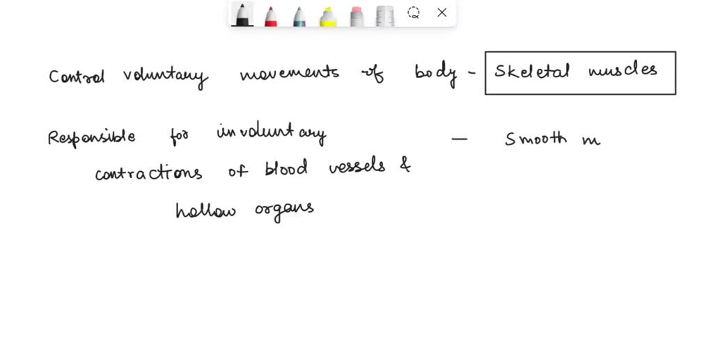 SOLVED: Controls voluntary movement of a. smooth muscle in the body: b ...