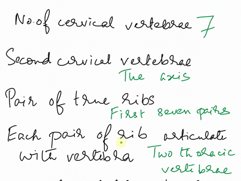 12 EXERCISE 1 ANATOMICAL LANGUAGE 6. Is the sternocleidomastoid muscle ...