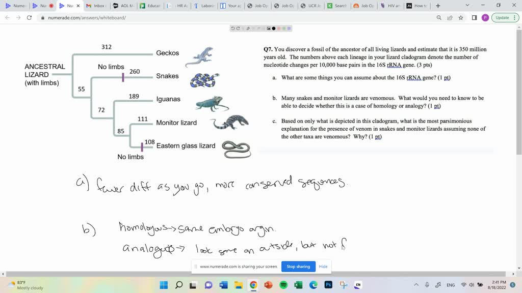 SOLVED: 312 Geckos ANCESTRAL LIZARD (with limbs) No limbs 260 Snakes 55 ...