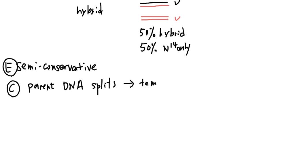 SOLVED: A classic experiment was conducted where DNA was made from ...