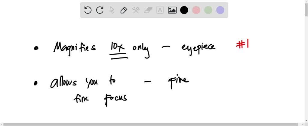 SOLVED: Match the letters on the microscope with the appropriate ...