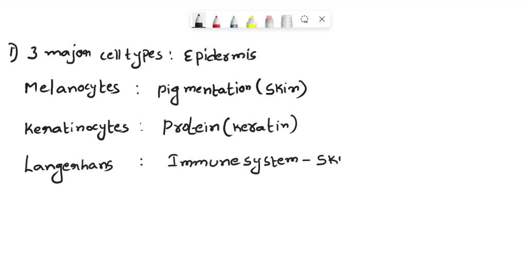 SOLVED: list the five functions of skin. name one specific structure ...