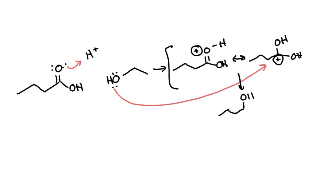 SOLVED: Using carbon skeletal notation, write the dehydration ...