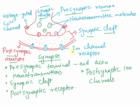 2.20 Draw a diagram showing the most important steps in...