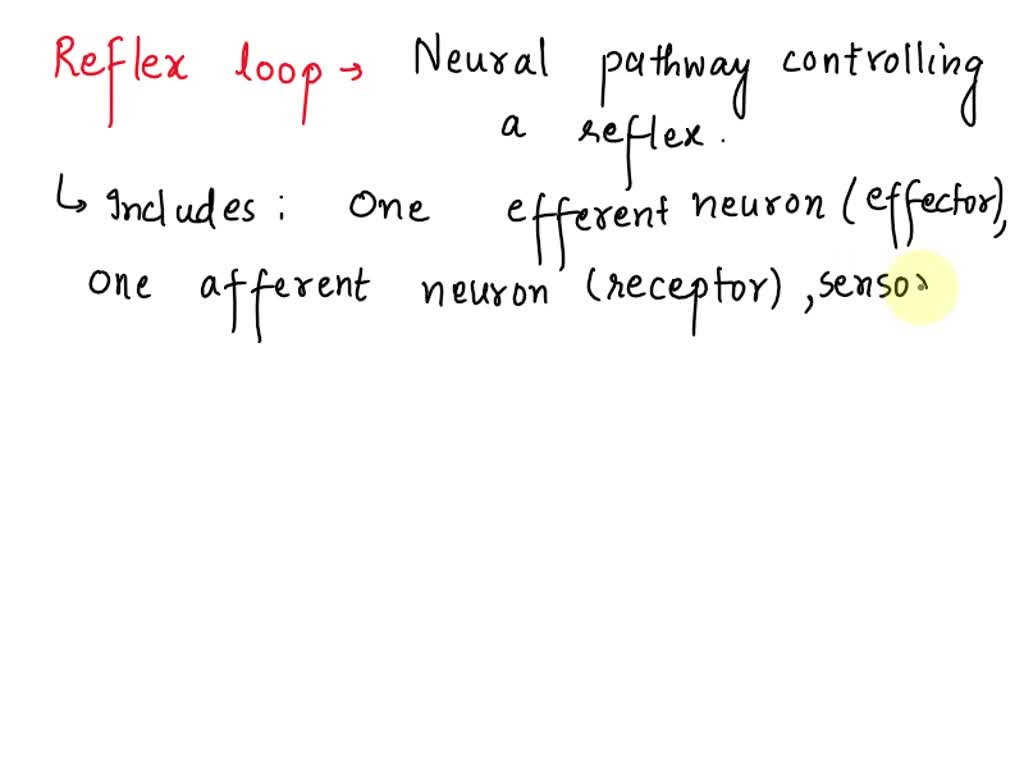 SOLVED: In reflex loop, which is an example of a molecule? a) potassium ...