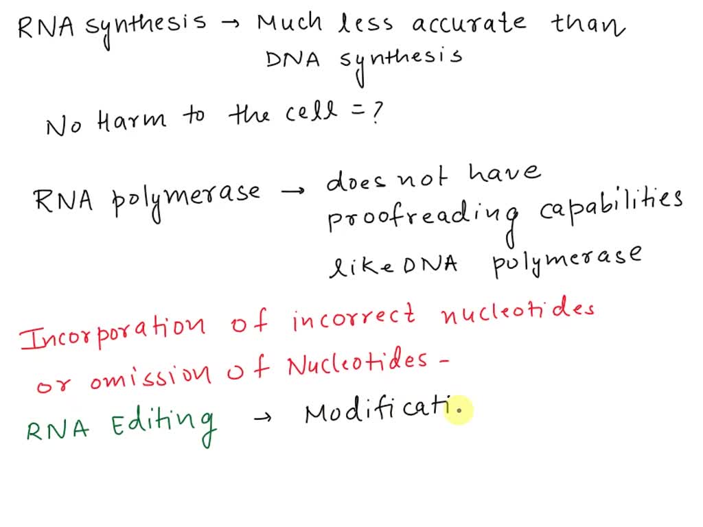 SOLVED: RNA synthesis is much less accurate than DNA synthesis. Why does this not harm the cell?