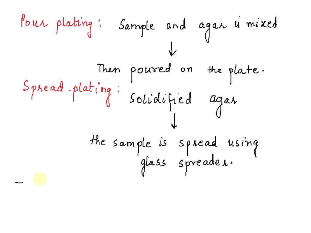 SOLVED: Prepare animation for explaining pour plate and spread plate?