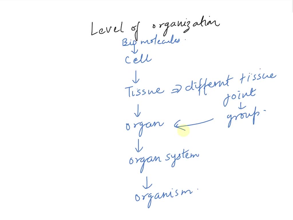 SOLVED: A structure that is composed of two or more tissues. Question 9 options: 1) Organ 2 ...