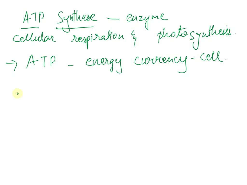 SOLVED: What is ATP synthase? a. An enzyme that breaks down ATP into hydrogen ions. b. A ...
