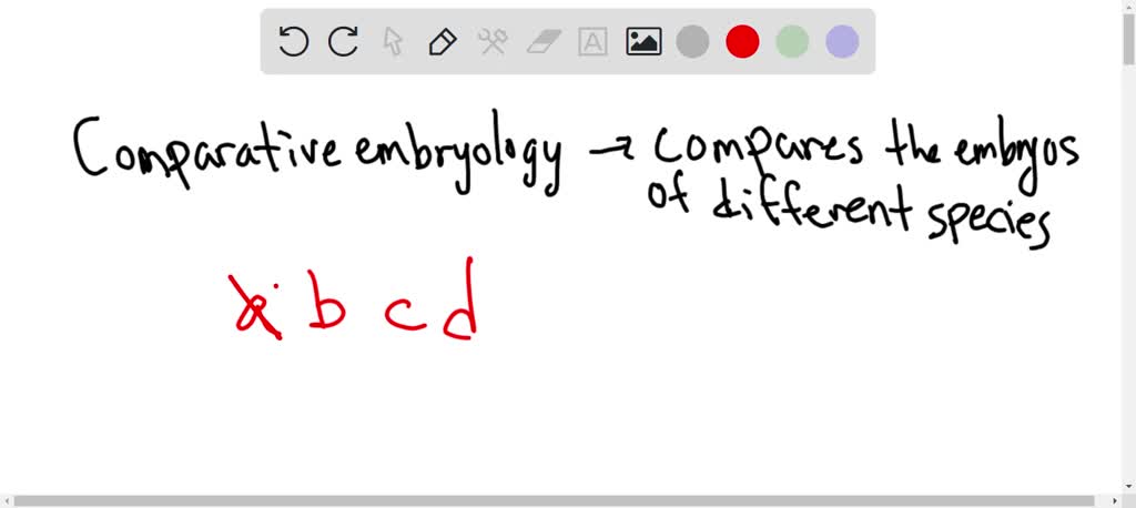 SOLVED: Which of the following is an example of comparative embryology ...