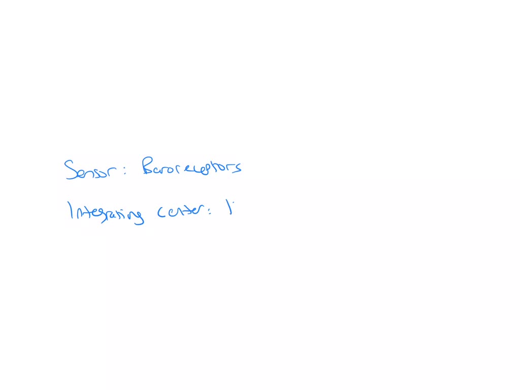 SOLVED: how do these components of homeostasis( Sensor: baroreceptors ... SOLVED: how do these components of homeostasis( Sensor: baroreceptors ...