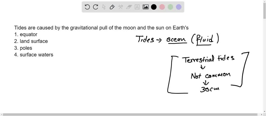 SOLVED: Tides are caused by the gravitational pull of the moon and the ...