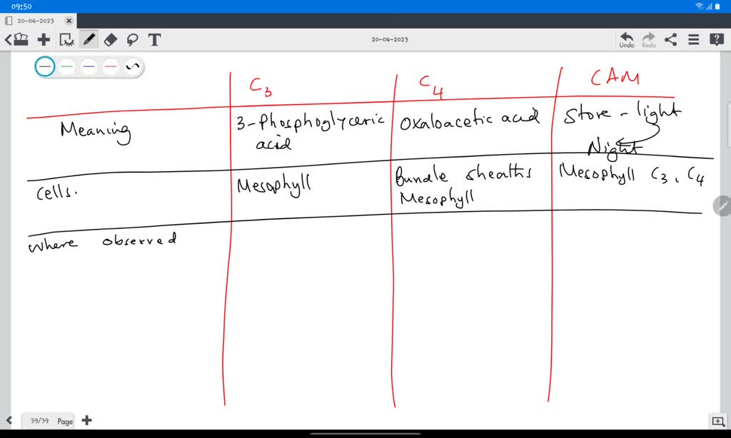 SOLVED: List the 3 variations of light-independent reactions (C3, C4 ...