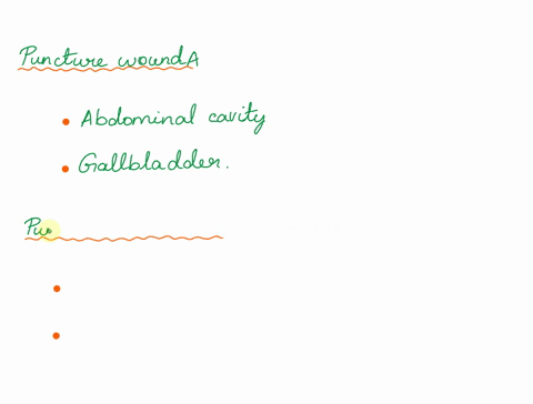 Examine the letters A, B, and C indicated in the image that...
