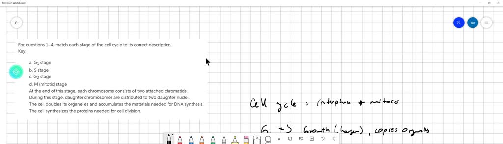SOLVED: For questions 1–4, match each stage of the cell cycle to its ... SOLVED: For questions 1–4, match each stage of the cell cycle to its ...
