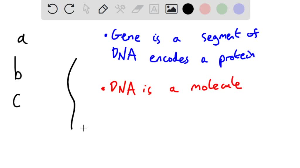 SOLVED: Which sentence correctly describes the relationship between DNA ...