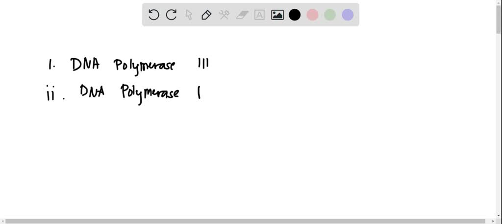 SOLVED: Question 10 (3 points Match each of the following enzymes to ... SOLVED: Question 10 (3 points Match each of the following enzymes to ...