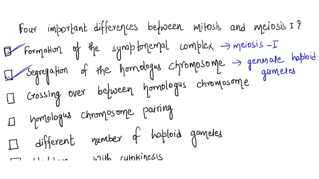 SOLVED: What are four important differences between mitosis and meiosis ...