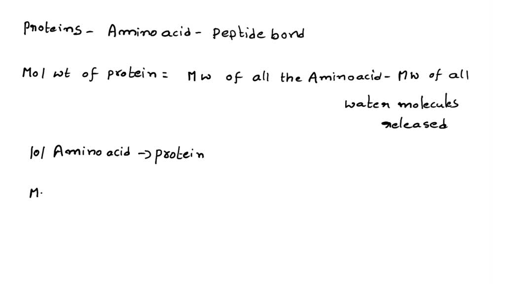 SOLVED: 1. How do you calculate the molecular weight of a protein, given its amino acid composition?