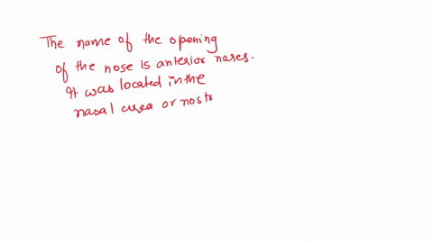 The is a narrow channel from the nasal cavity in the...