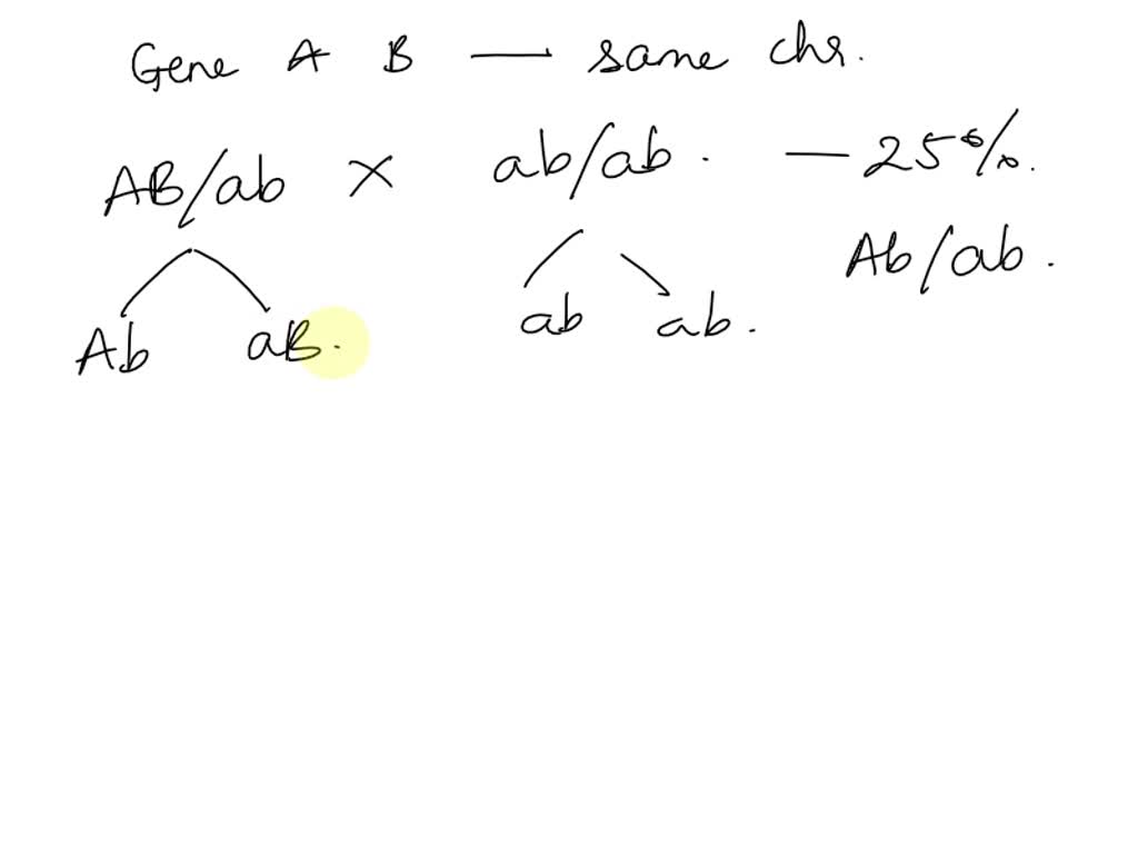 SOLVED: 22. Gene A and gene B are located on the same chromosome ...