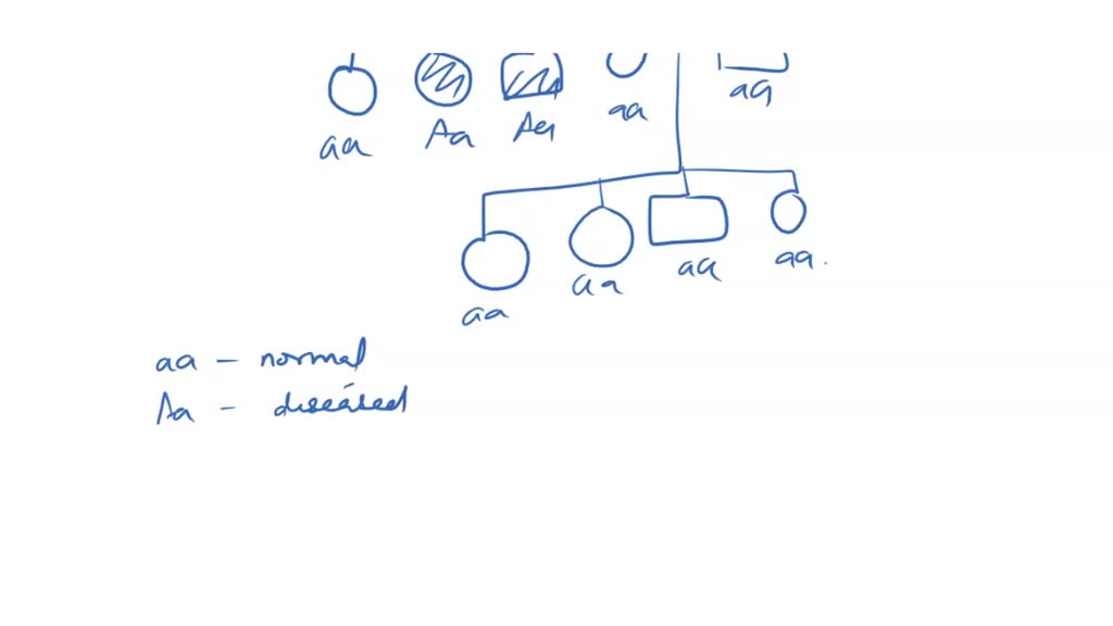 SOLVED: Marfan syndrome is = rare inherited plus defects in the heart ...
