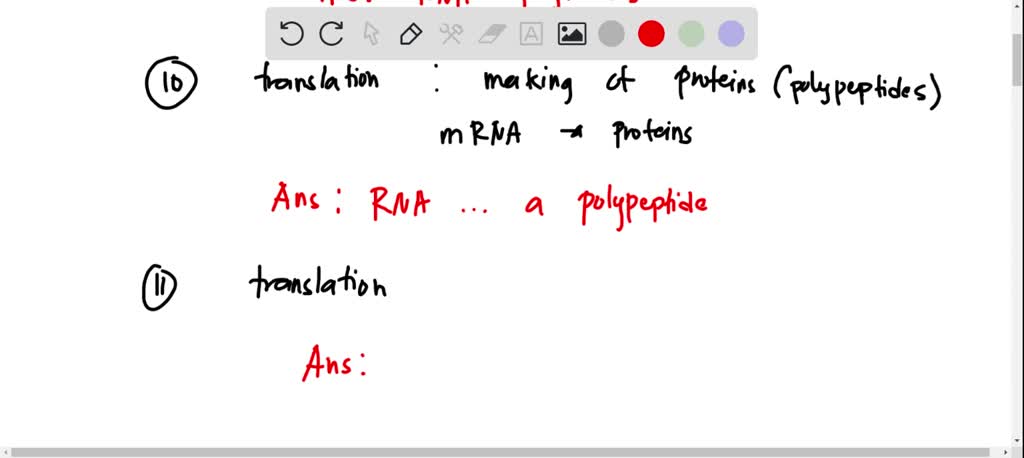 SOLVED: 8) The protein amino acid sequence, the RNA base sequence, and ...