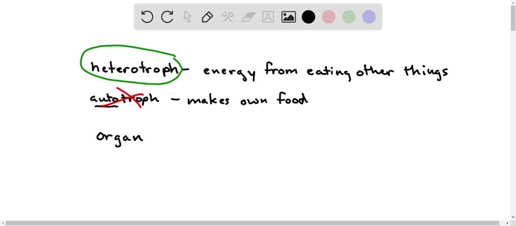 SOLVED: A prokaryote that obtains energy and carbon as it decomposes ...