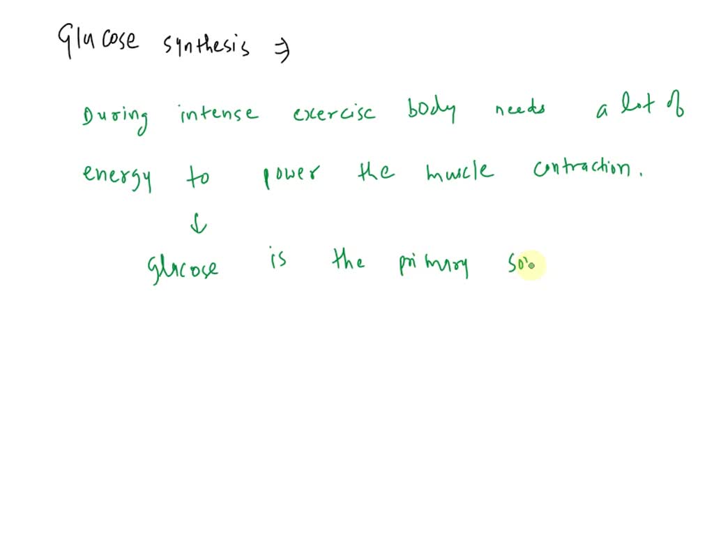 SOLVED: Gluconeogenesis takes place during intense exercise, which ...