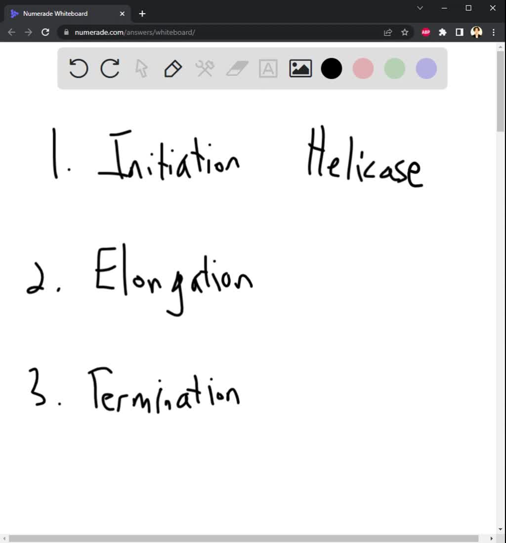 Solved Describe The 5 Steps Of The “sequencing By Synthesis” Method Of Next Generation Dna 
