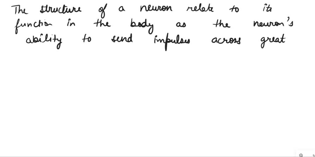 SOLVED How Does The Structure Of A Neuron Relate To Its Function In solved-how-does-the-structure-of-a-neuron-relate-to-its-function-in