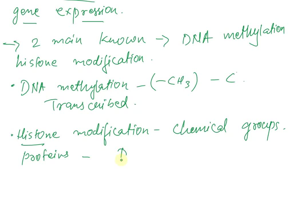 SOLVED: QUESTIONS: What are epigenetic changes? How does an ...