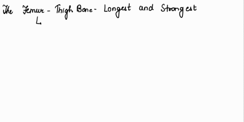 19. Label the components of the knee joint in the picture below ...