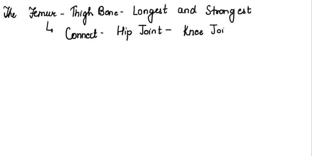 SOLVED: Chapter 8 Homework/Assignment (i) Name the structure highlighted in this anterior view ...