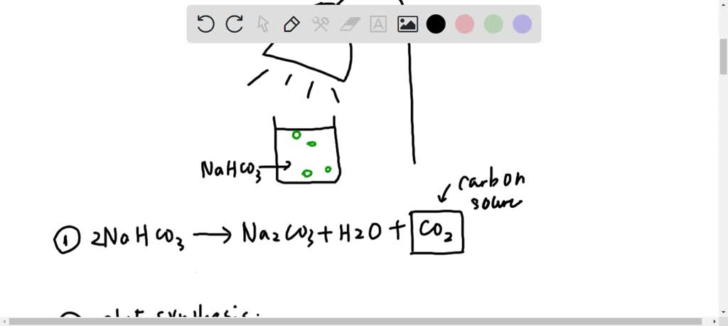 SOLVED: 1. What is the purpose of creating a vacuum with the floating leaf disks? 2. Why, in the ...