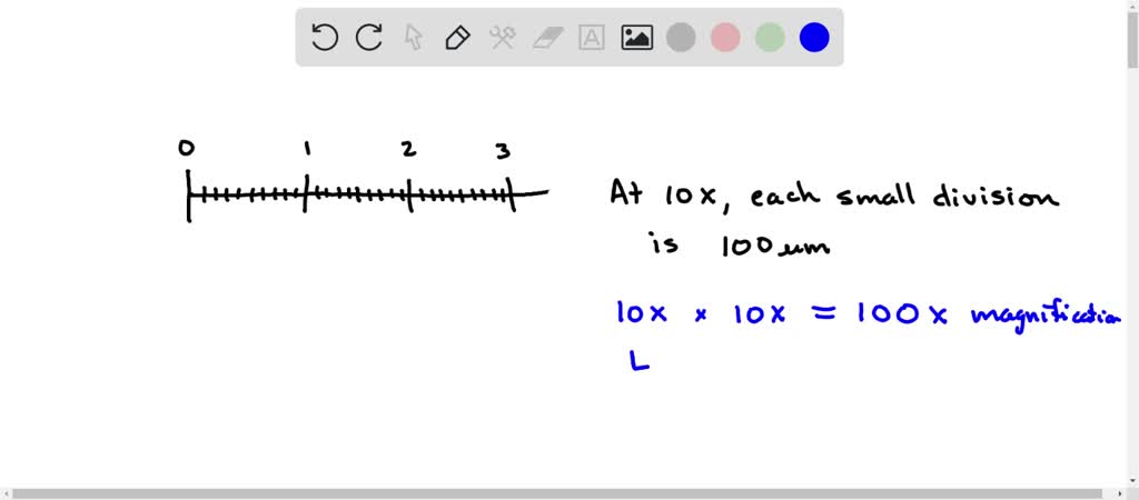 SOLVED: On the microscope that you are using, each small division of ...
