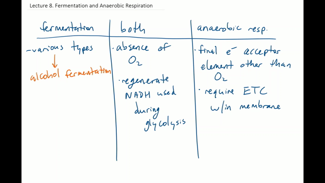 Cellular Respiration and Fermentation: Understanding the Basics ...