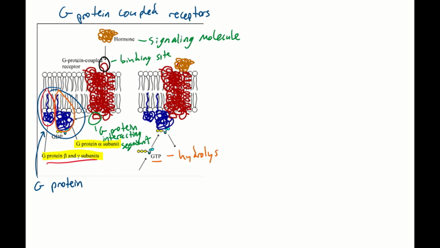 Unlocking the Secrets of Cell Signaling: Understanding the Intricacies ...