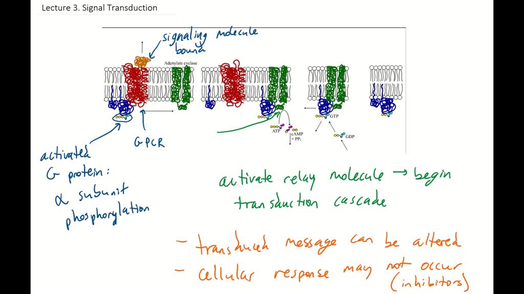 Signal reception | Numerade