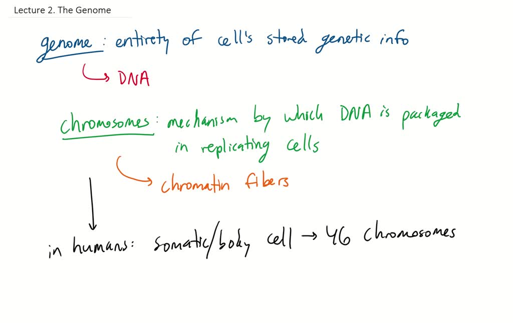 Cellular reproduction - overview | Numerade