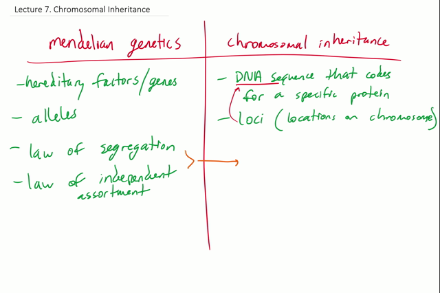 Mendelian Genetics: Understanding Inheritance Patterns Lectures for Biology Course Lecture with ...
