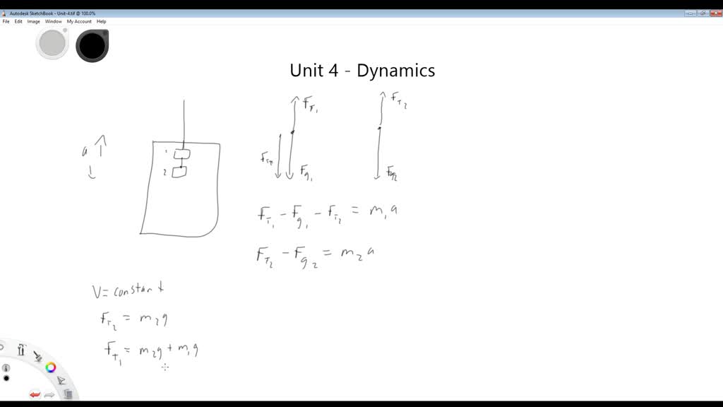 1d dynamics - overview | Numerade