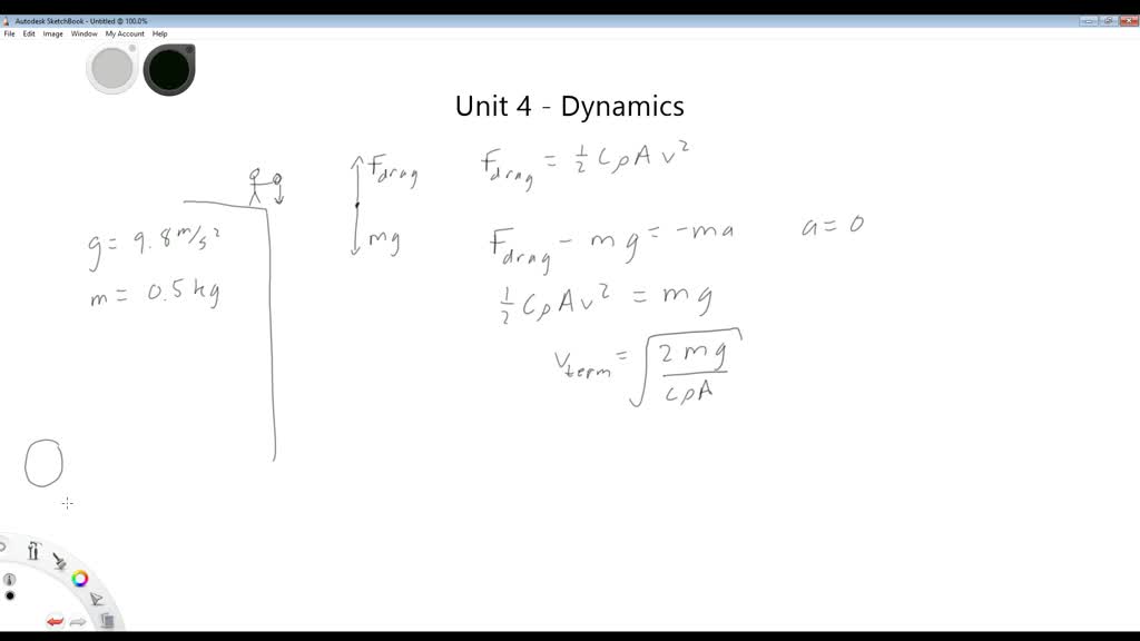 1d dynamics - overview | Numerade