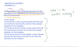 Modifier placement - example 1 | Numerade